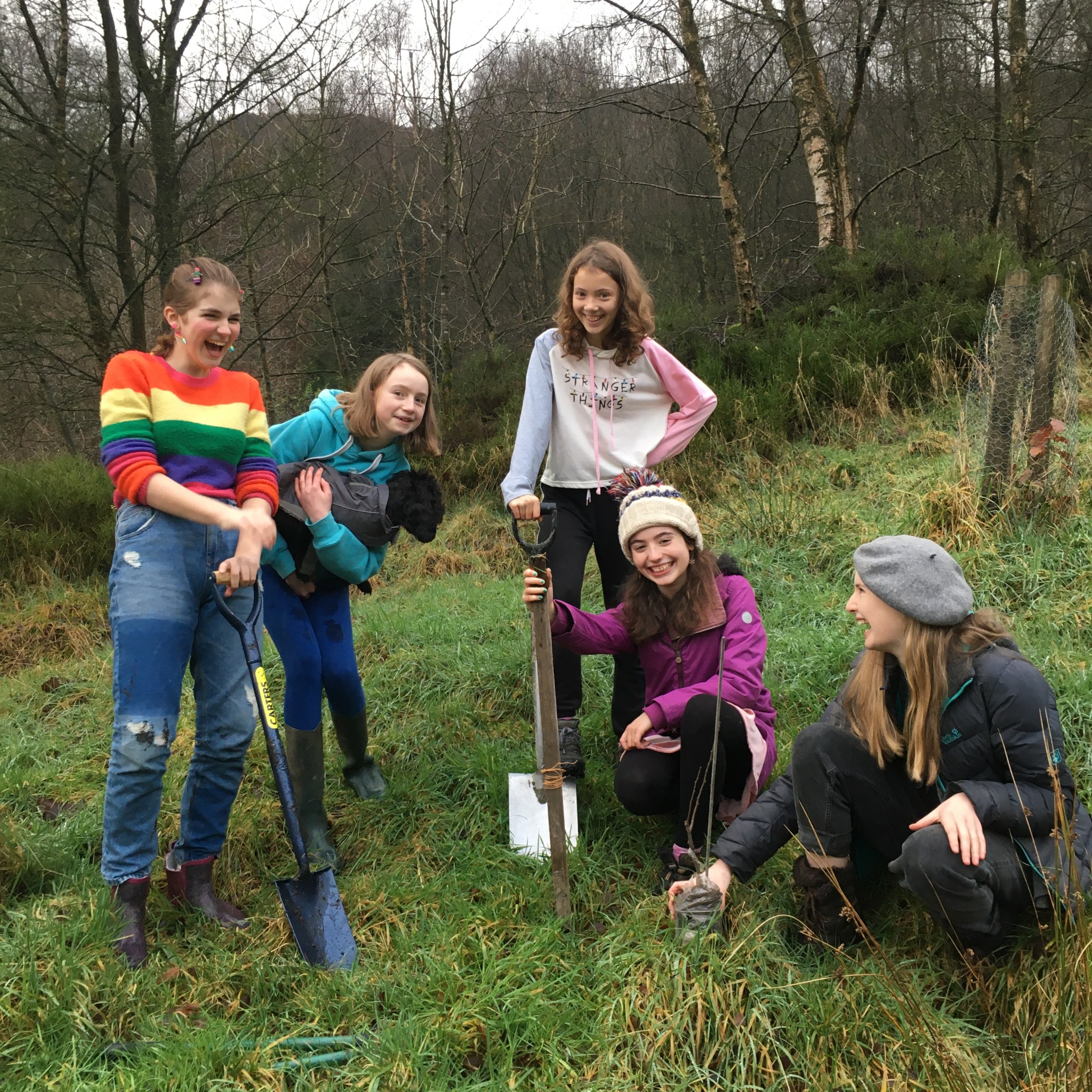 Save the Oaks: ‘We’re rescuing 30K oak tree saplings – but can do more ...